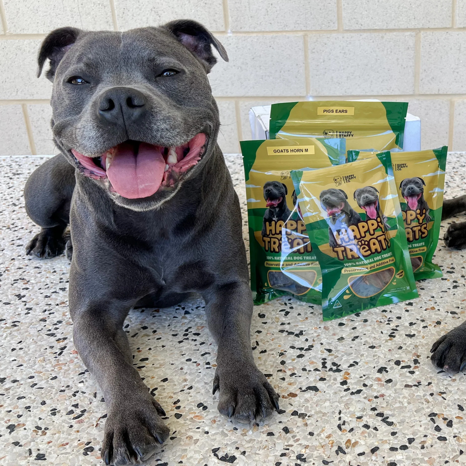 Staffy Cross Breeds Guide: Discover the Most Popular Staffordshire Bul ...