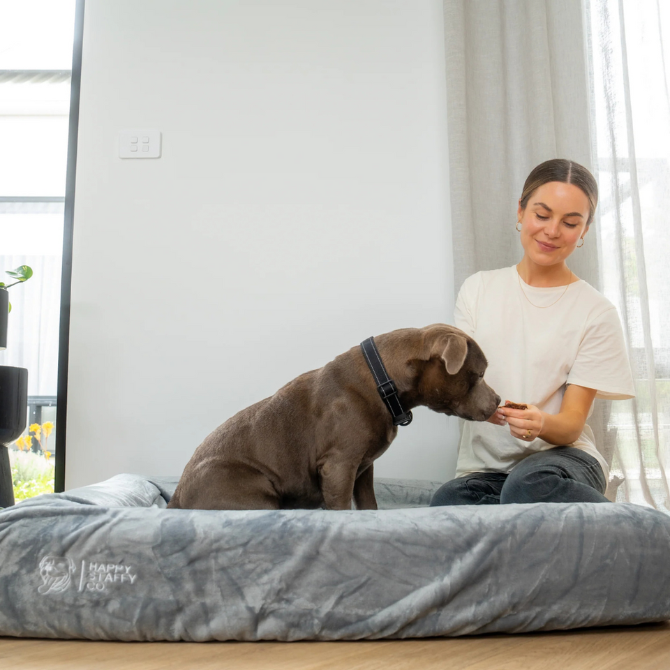 The Ultimate Guide to Raising a Happy and Healthy Staffy – Happy Staffy Co.