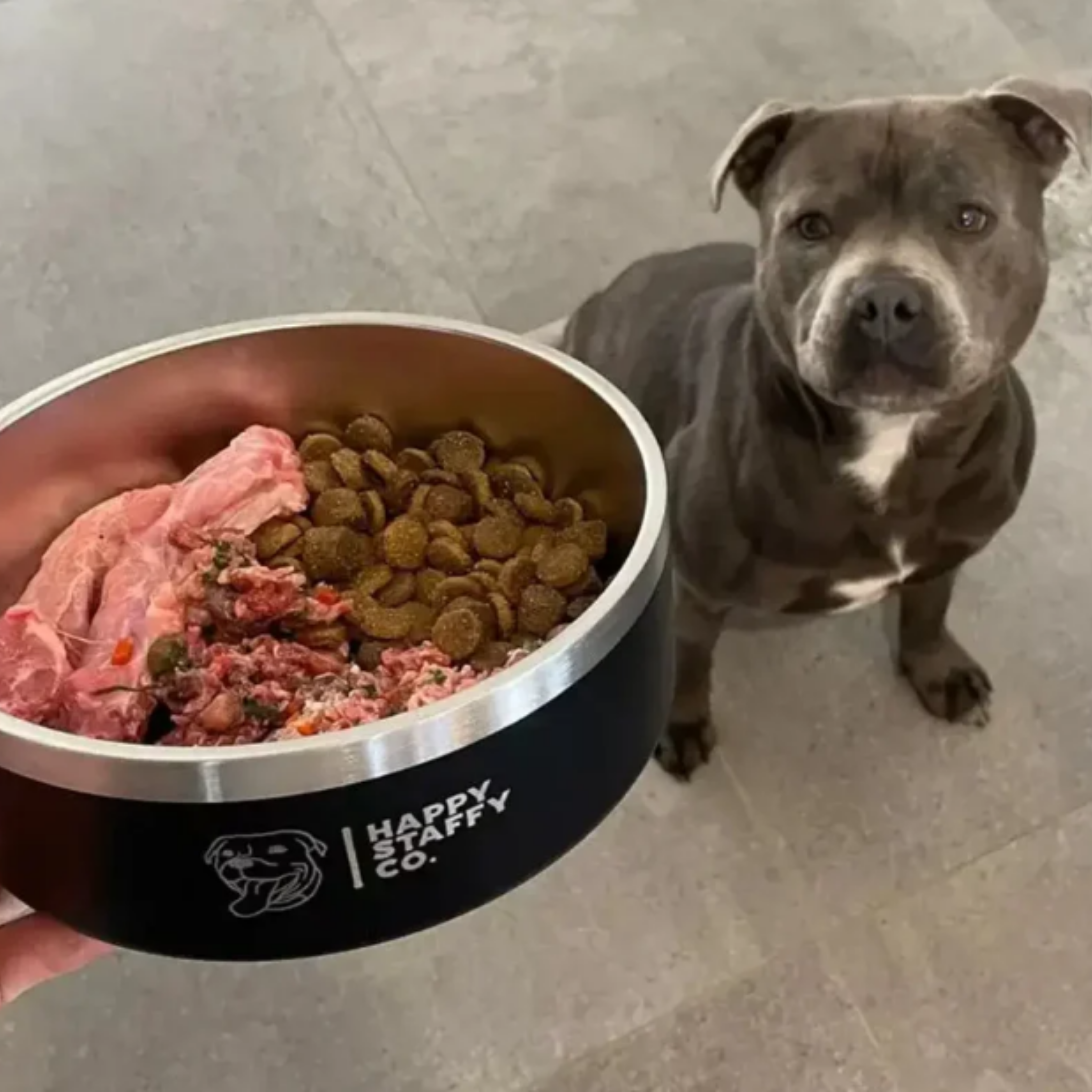 Stainless Steel Dog Bowls | Happy Staffy Co.