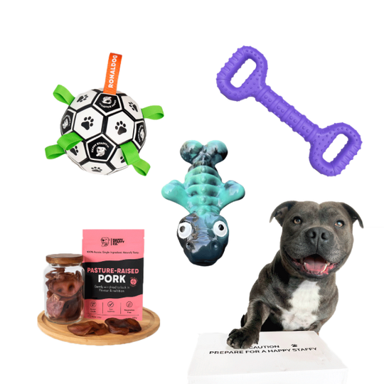 Staffy Cross Breeds Guide: Discover the Most Popular Staffordshire Bul ...