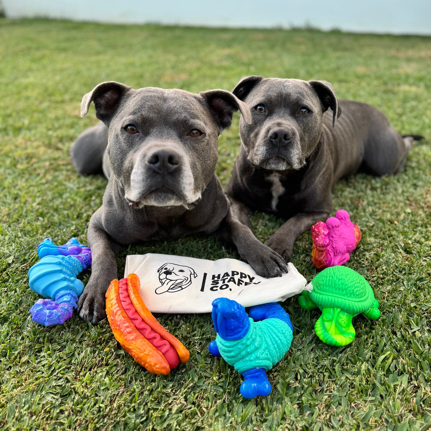Dog Toys for Happy Dogs. Order Now – Happy Staffy Co.