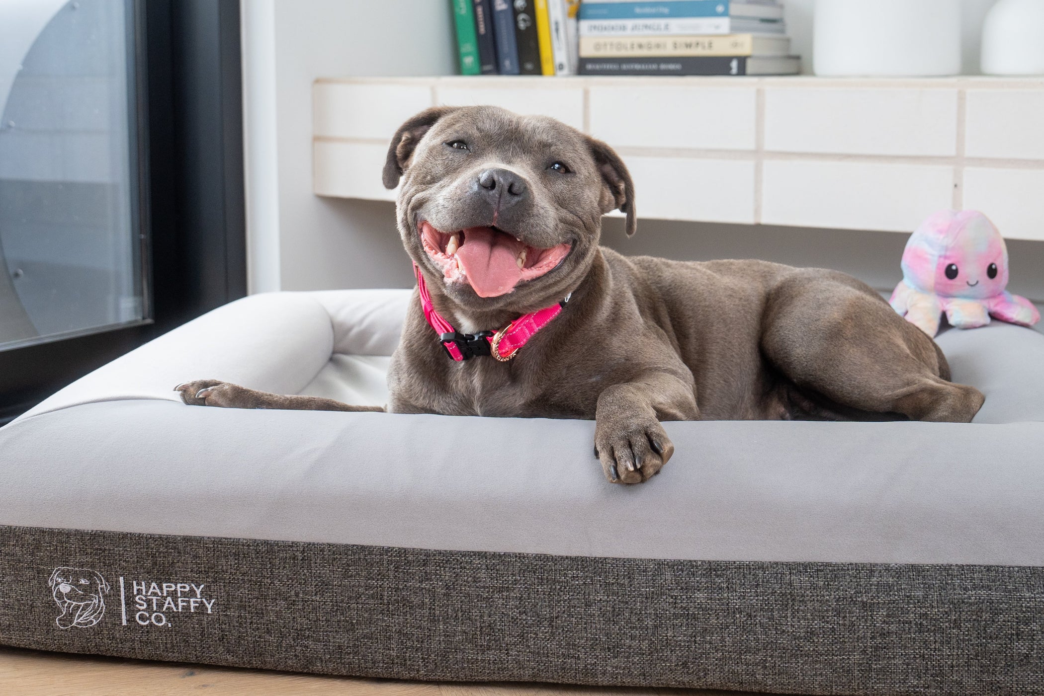 Store Locator – Happy Staffy Co.